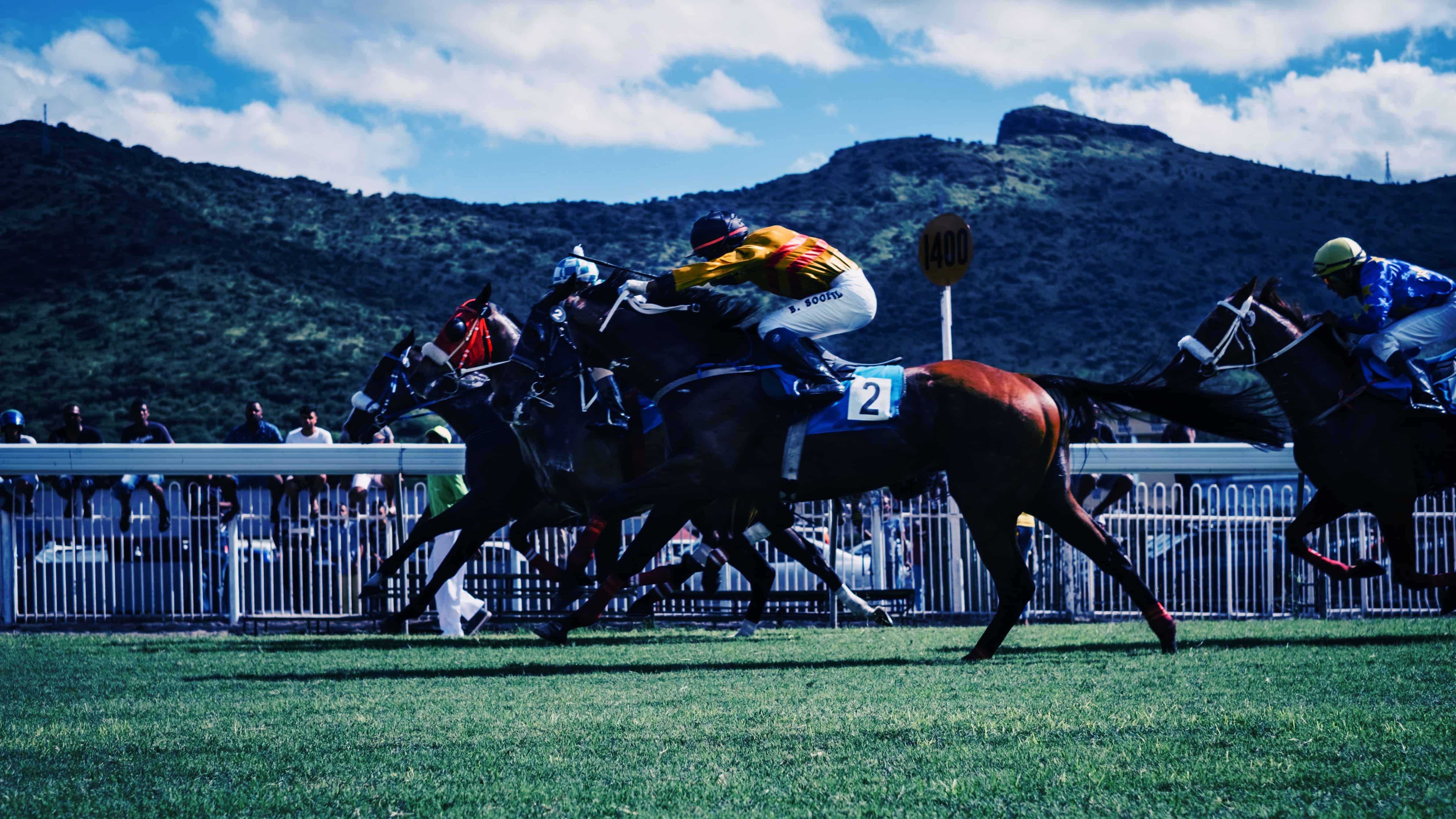 TVG Horse Racing Promo Code "200TVG" - Get $200 Back - DailyStoke